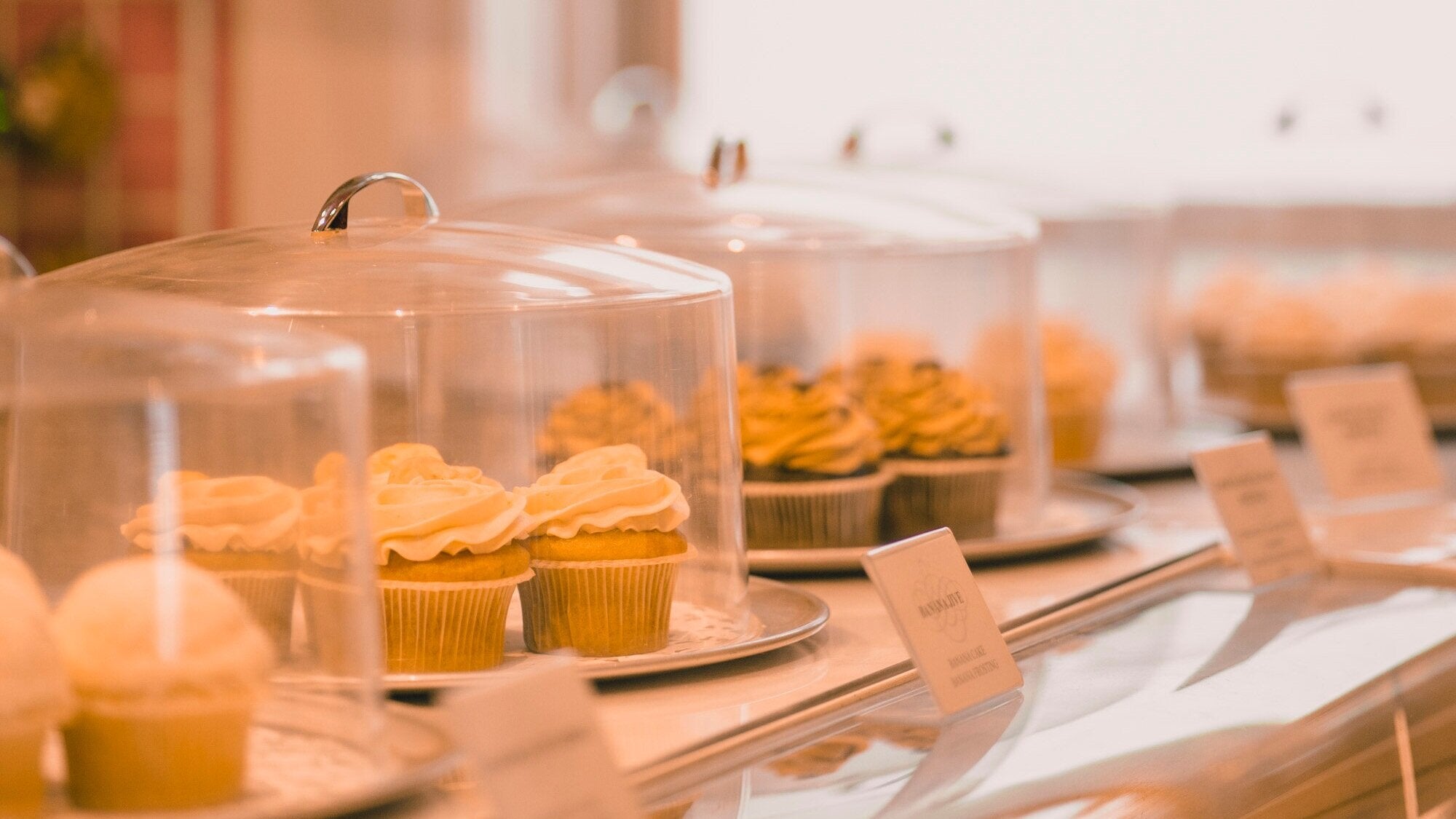 Razzle Dazzle Cupcakes